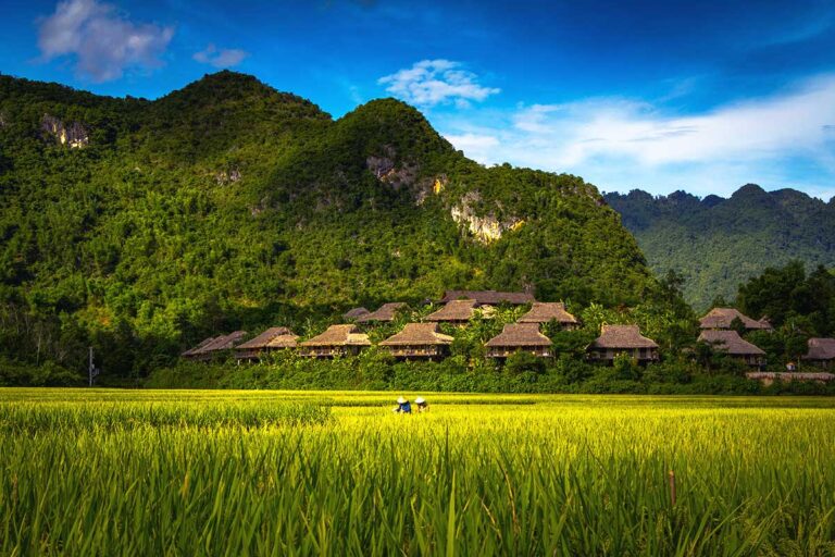 10 Most beautiful Rice Fields in Vietnam + Best Season 2024
