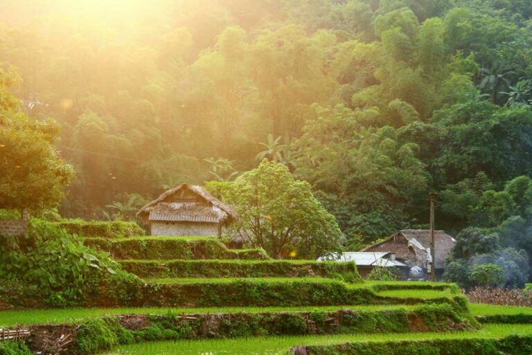 10 Most beautiful Rice Fields in Vietnam + Best Season 2024