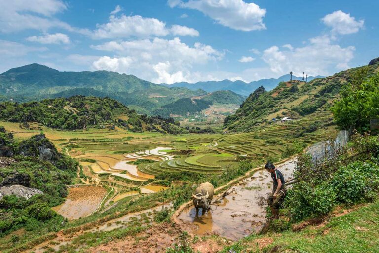 10 best homestays in Sapa for a unique experience in 2024 | Local Vietnam