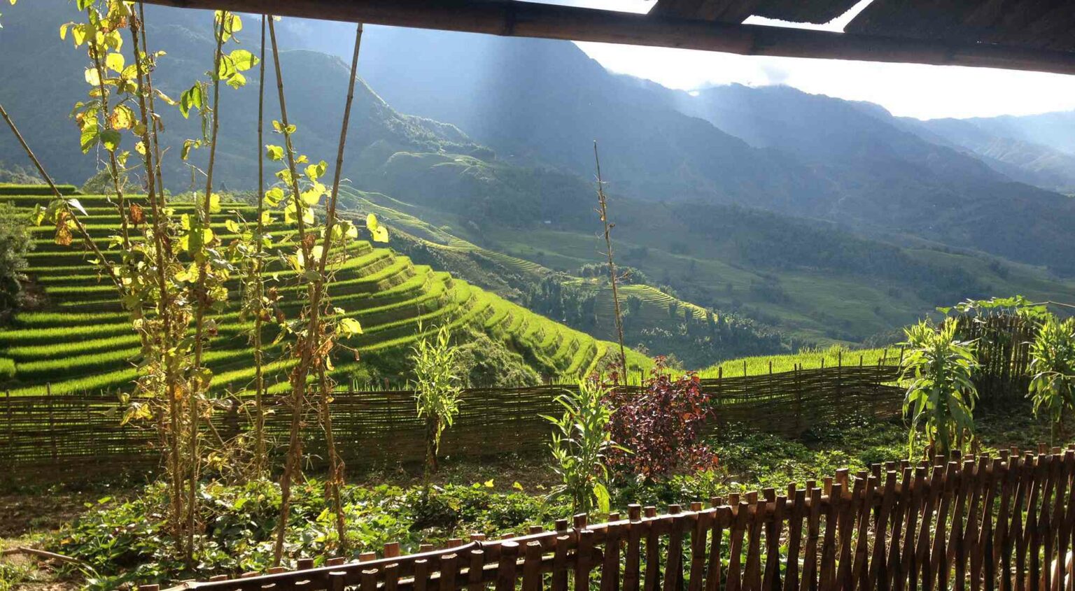 10 best homestays in Sapa for a unique experience in 2026 | Local Vietnam
