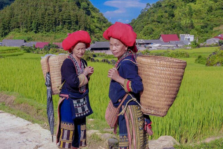 10 best homestays in Sapa for a unique experience in 2024 | Local Vietnam