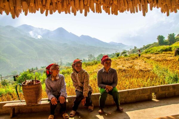 10 best homestays in Sapa for a unique experience in 2024 | Local Vietnam