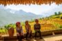 10 best homestays in Sapa for a unique experience in 2024 | Local Vietnam