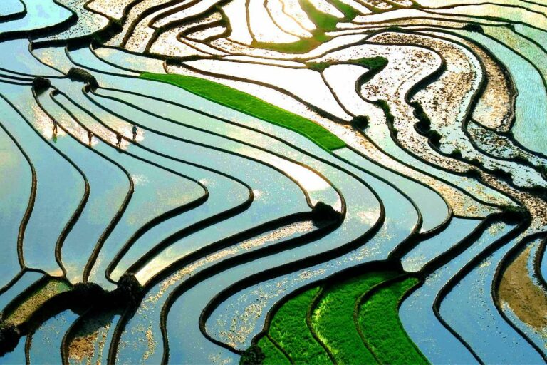 Sapa in May - Weather & Best Things To Do | Local Vietnam
