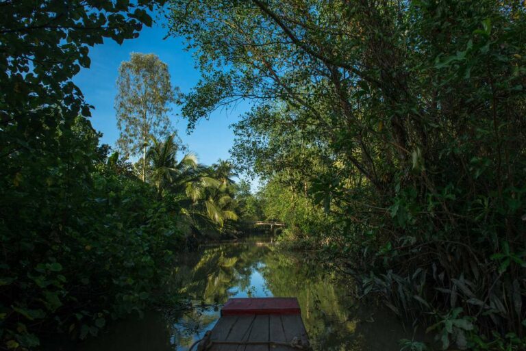 Ben Tre - Travel guide 2024 & 8 best things to do