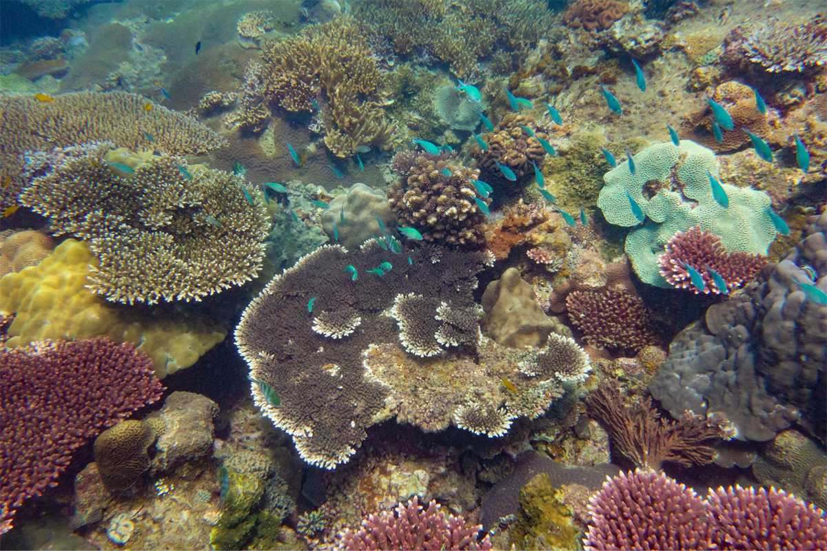 Con Dao best things to do & travel guide | Local Vietnam