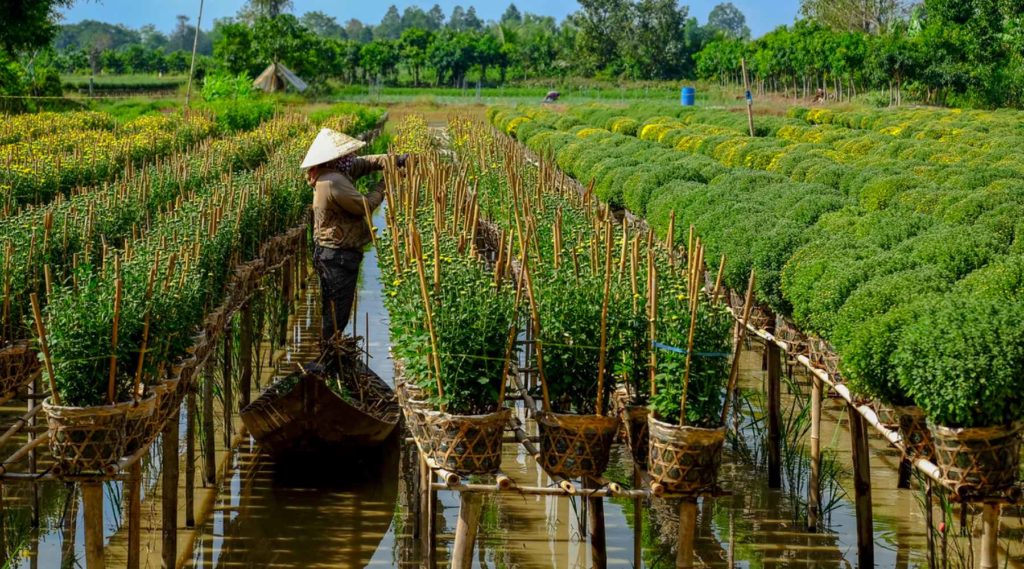 Mekong Delta Archives | Local Vietnam