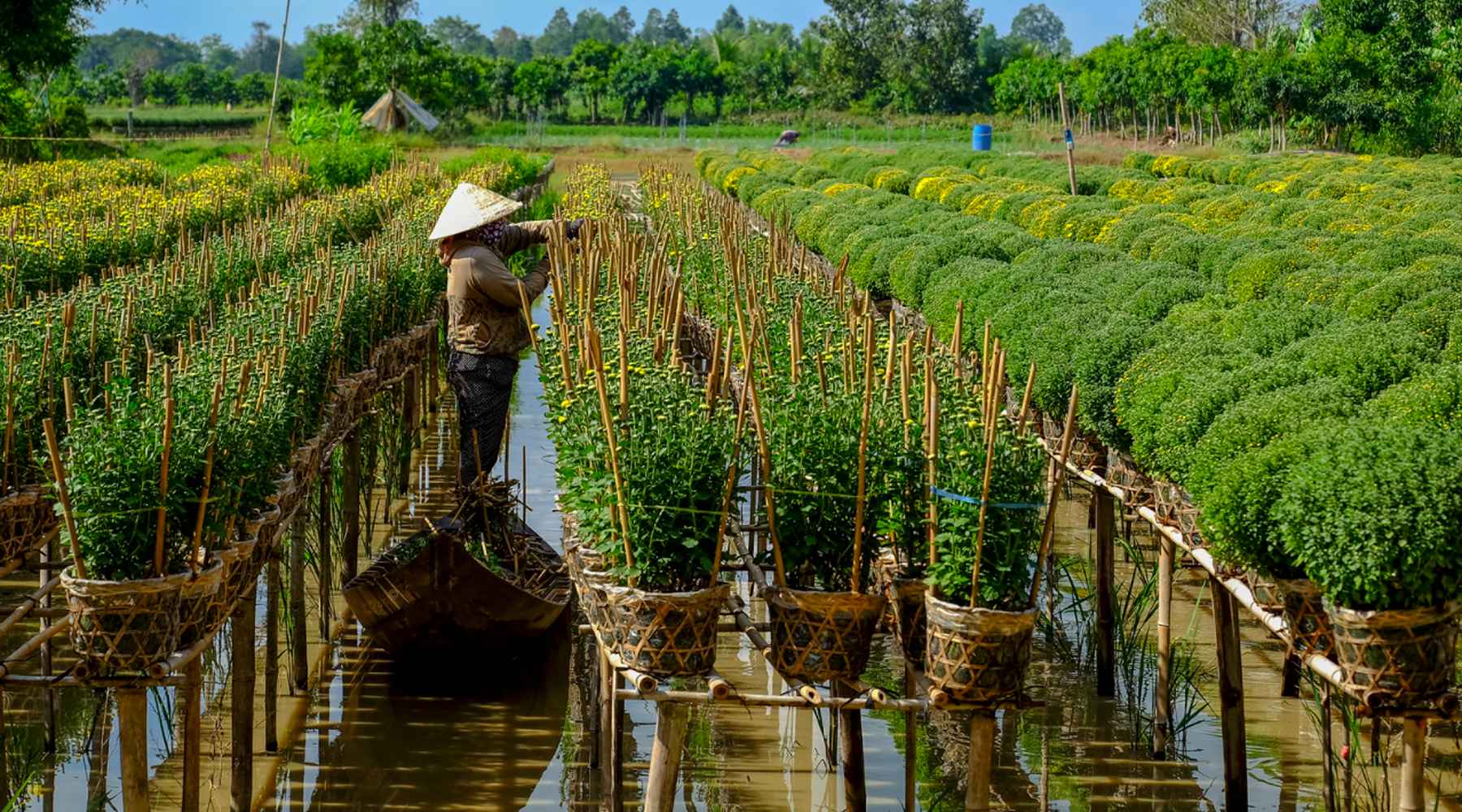 Sa Dec - Travel Guide 2024 & 6 best things to do