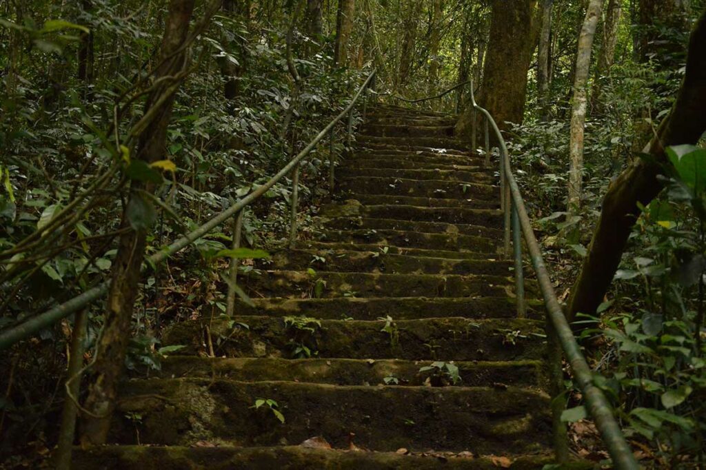 Bach Ma National Park tour - Waterfalls, Jungle & Viewpoints