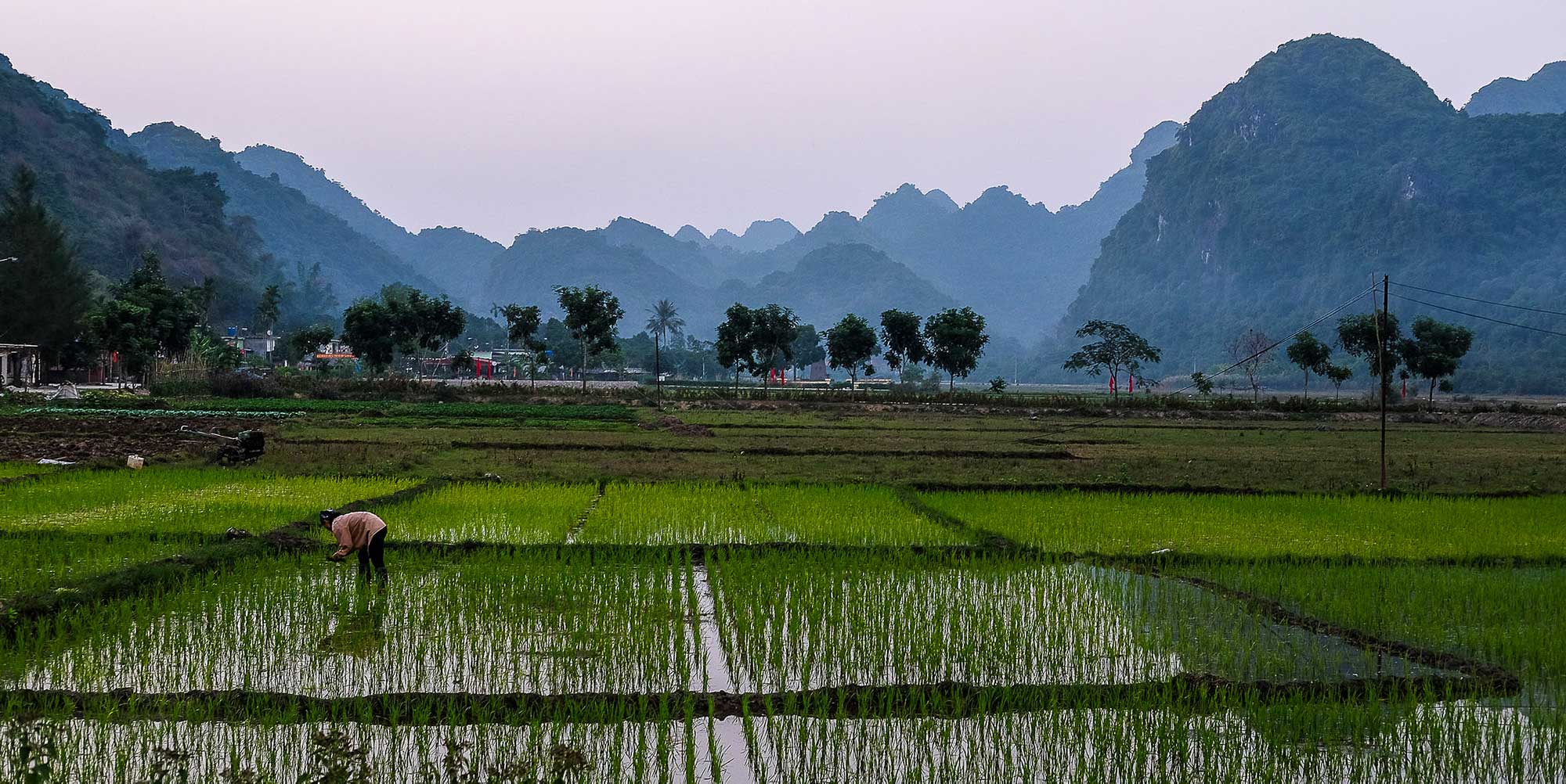 Viet Hai Village on Cat Ba - Things to do & where to stay