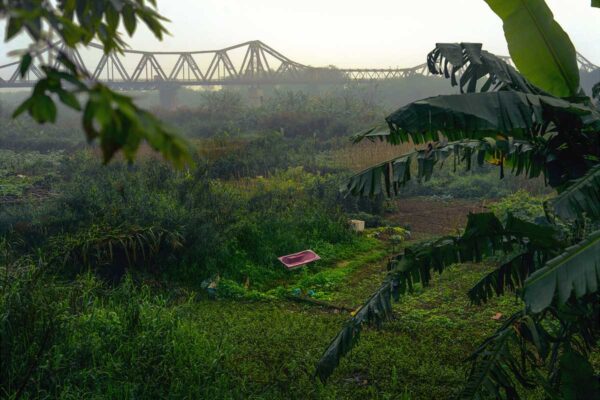 Red River Delta of Vietnam - 5 biggest highlights to visit | Local Vietnam