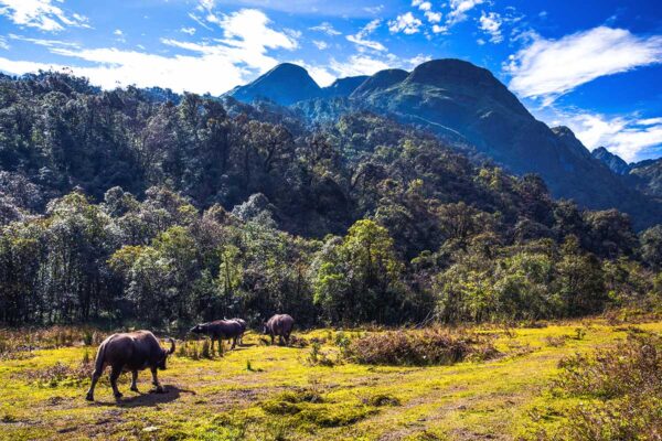 Love Waterfall in Sapa - Visiting Sapa's best waterfall
