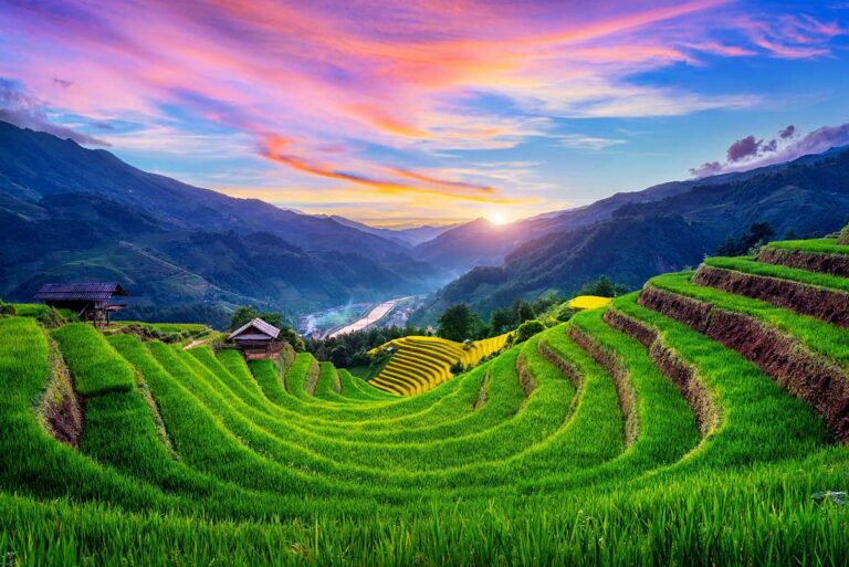 10 Most beautiful Rice Fields in Vietnam + Best Season 2024