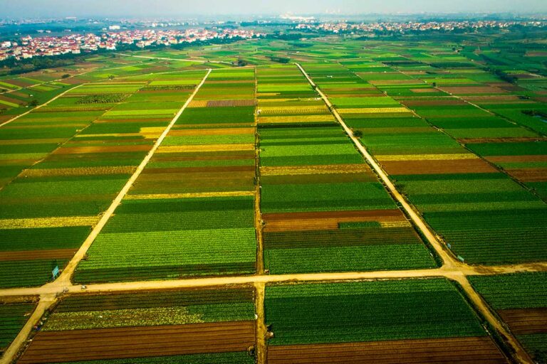 Red River Delta of Vietnam - 5 biggest highlights to visit | Local Vietnam
