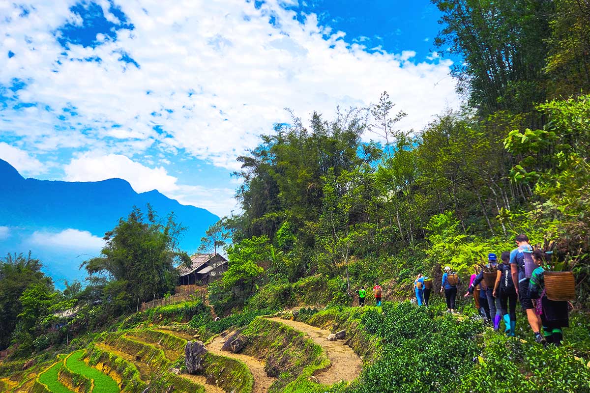 Sapa Trekking Routes - 5 Best Trails Through Rice Fields