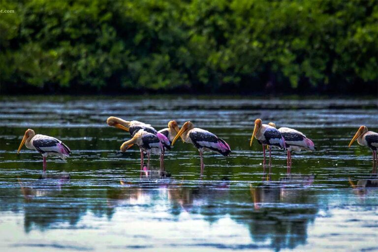 Red River Delta of Vietnam - 5 biggest highlights to visit | Local Vietnam