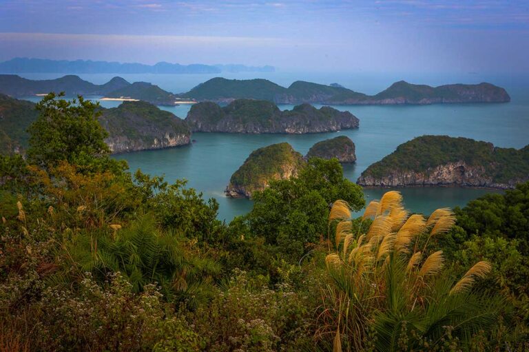 Cat Ba Island - 12 Best Things To Do & Travel Guide [2024]