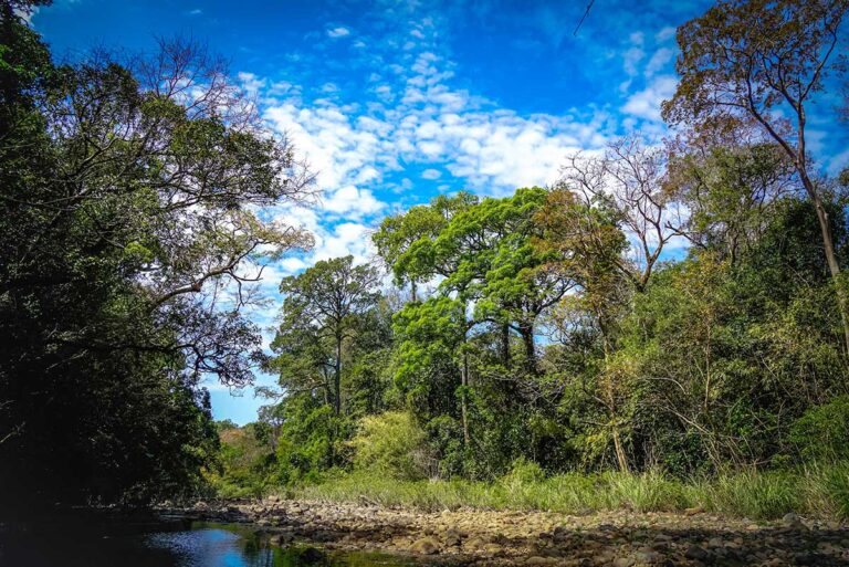 Binh Phuoc - 11 Things To Do & Travel Guide [2026]