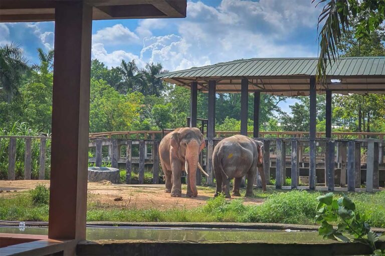 Dong Nai 2026 | Travel Guide & 7 Best Things To Do