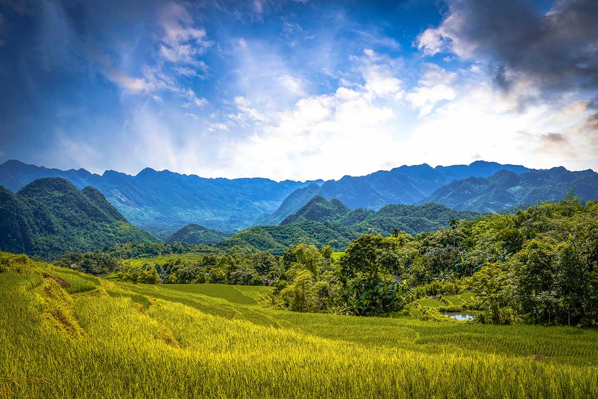 Best Time To Visit Pu Luong | Harvest Season & Weather