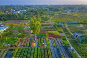 Sa Dec | Travel Guide & 14 Best Things To Do