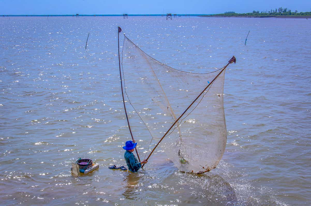 Tan Thanh Beach in Tien Giang – Guide to the Mekong Delta’s Muddy Coast ...